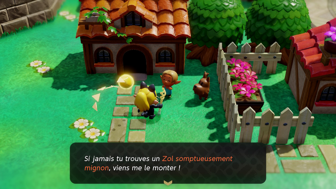 Les quêtes de la citadelle d'Hyrule - Solution de Echoes of Wisdom ...